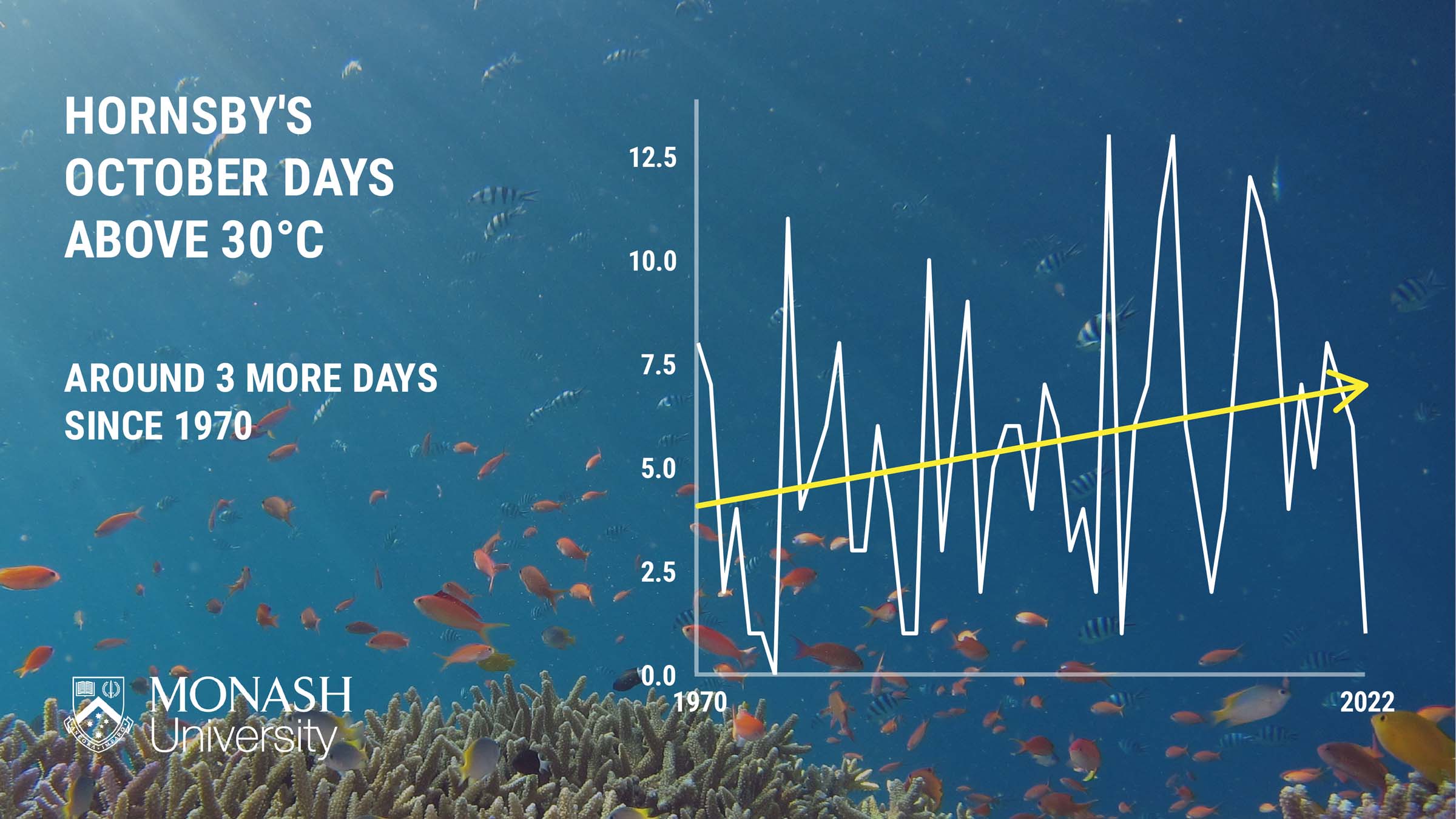 Carbon having a ripple effect on our oceans and economy | Daily Telegraph