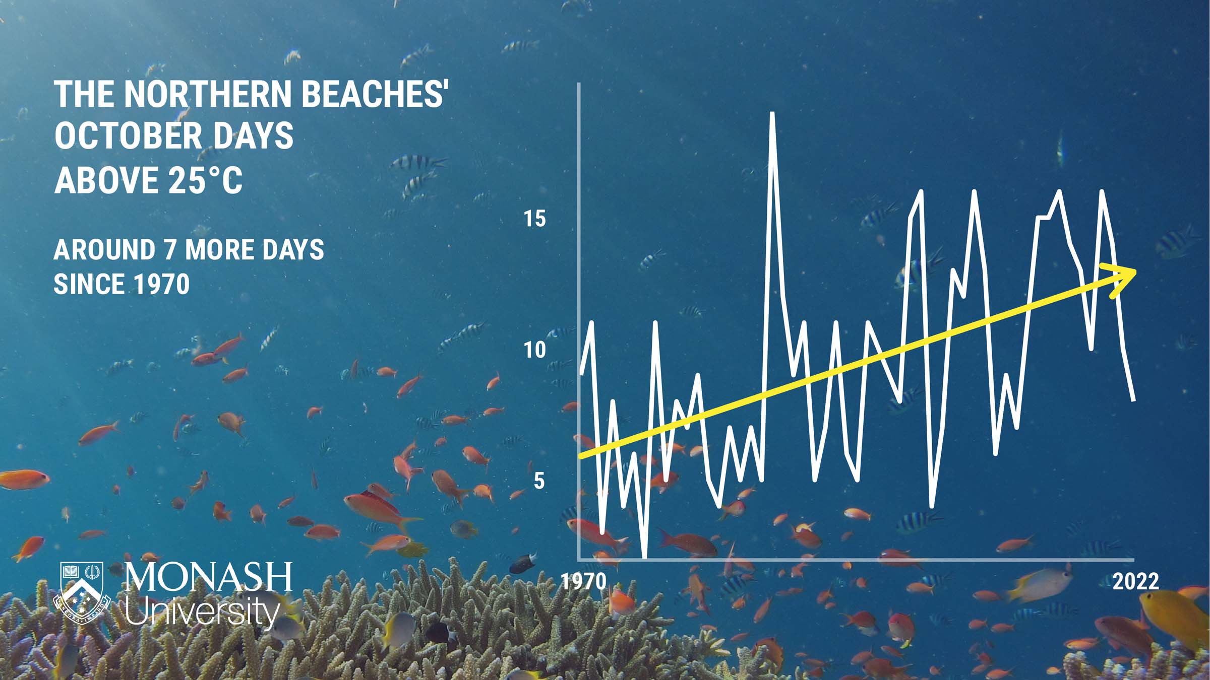 Carbon having a ripple effect on our oceans and economy | Daily Telegraph