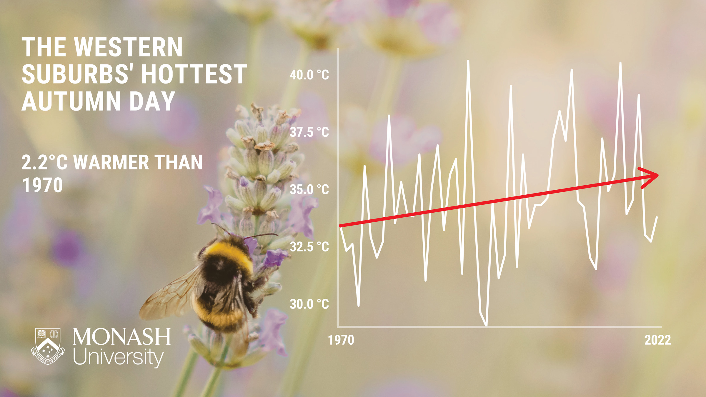 Our busy bees working overtime as temperatures rise | Herald Sun
