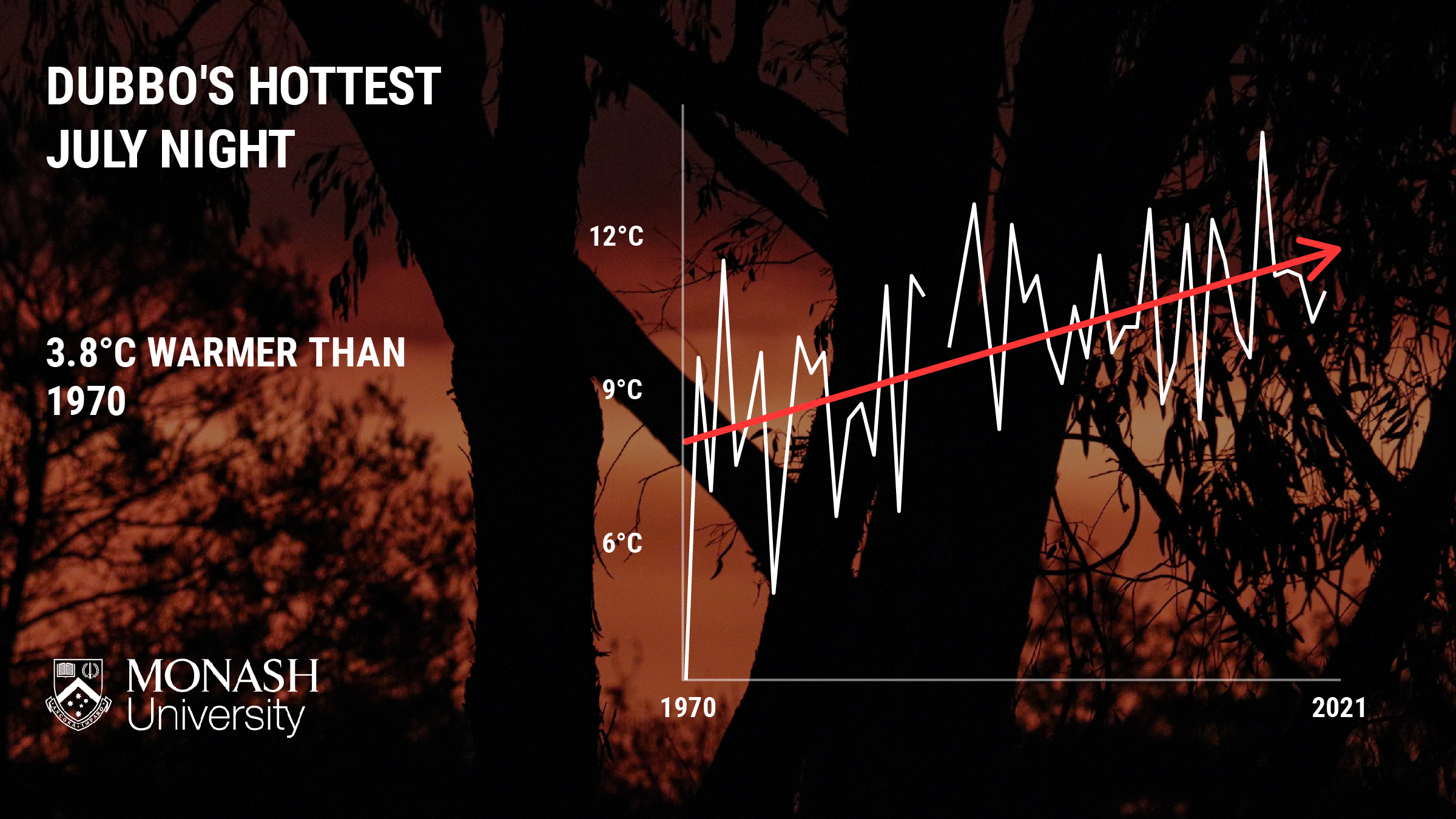 Climate change is at the root of our shrivelling forests | Daily Telegraph