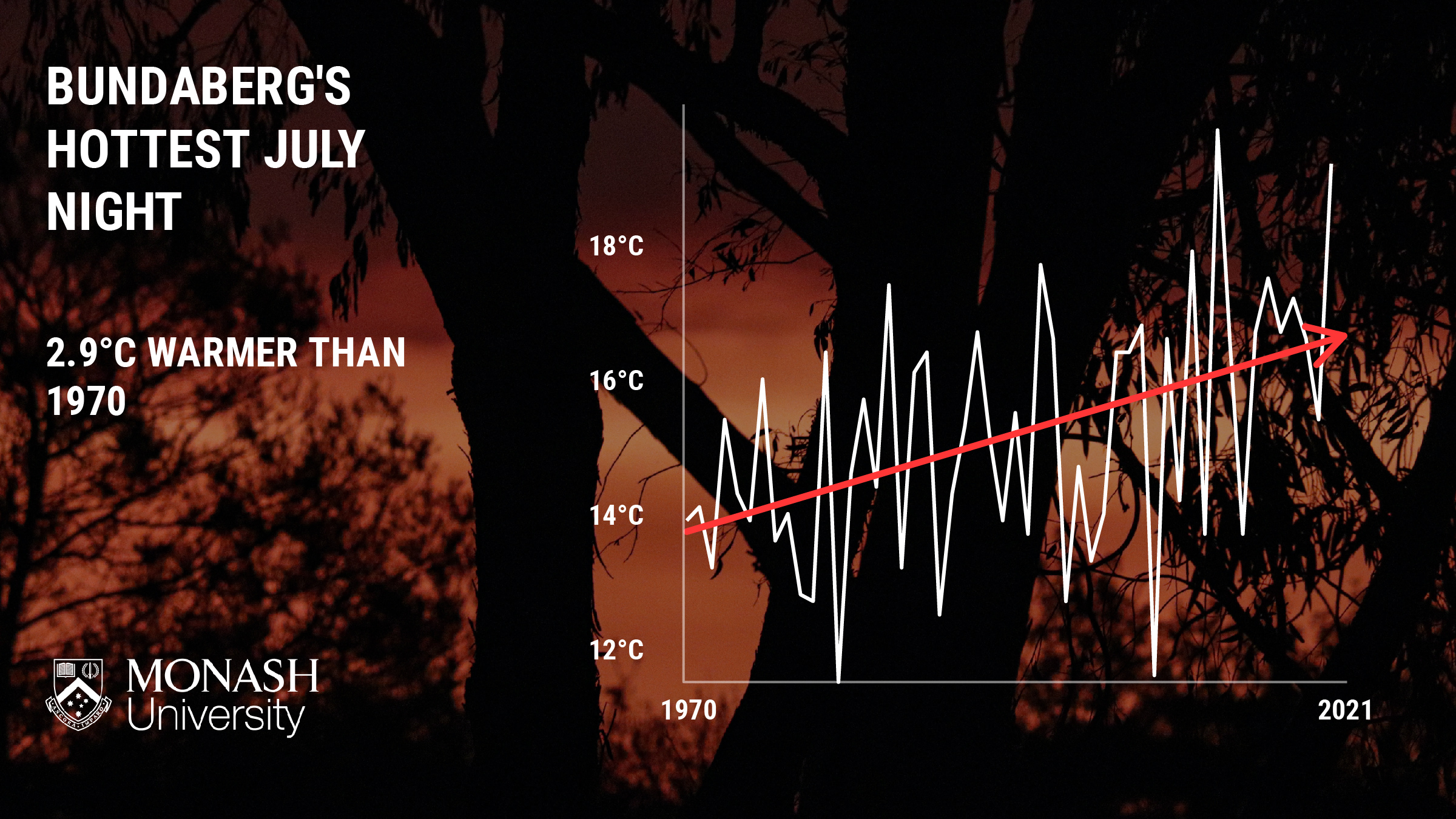 Climate change is at the root of our shrivelling forests | The Courier Mail